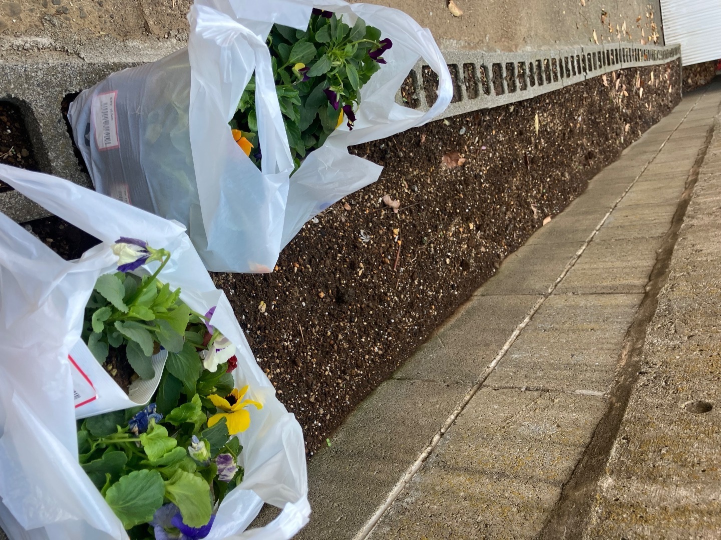 ヤロー達の乙女心修行会: お母さんも安心! WIFIインターネット使い放題 東海大学湘南歩5分32000円 コーポヤマシタ